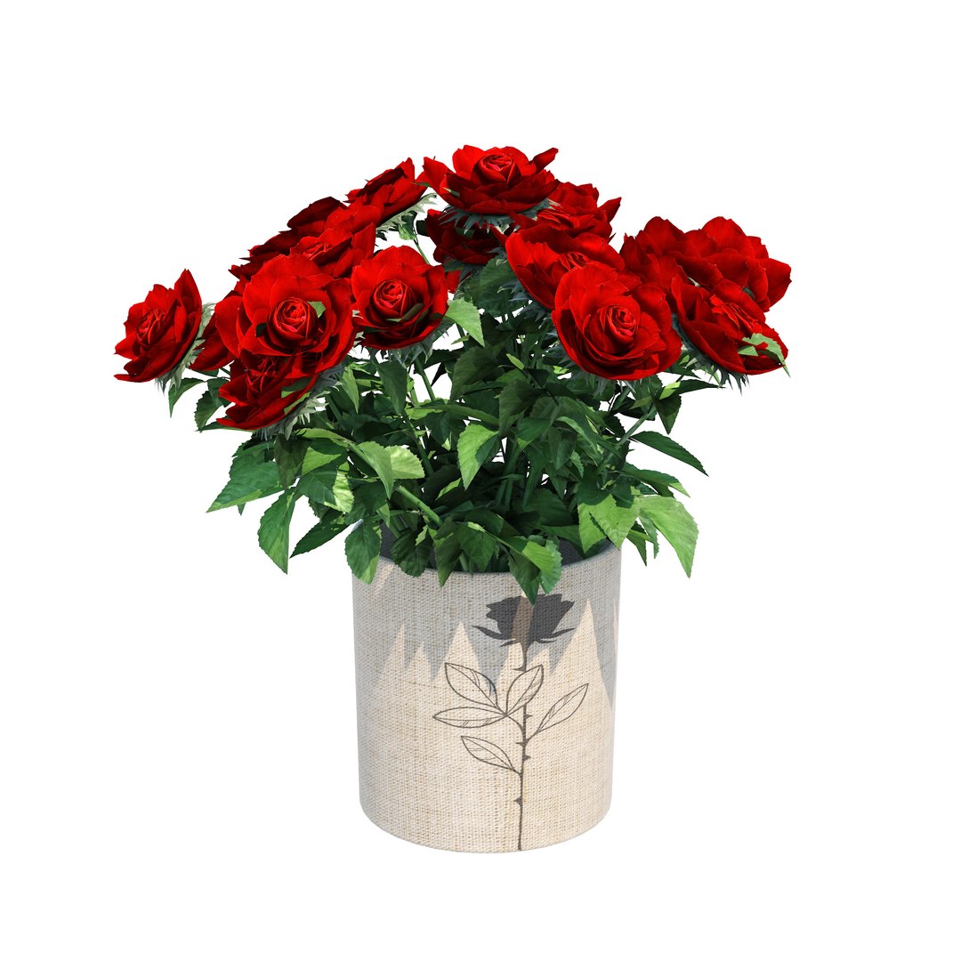 Red Rose Planter And Vase 3D - TurboSquid 2023215
