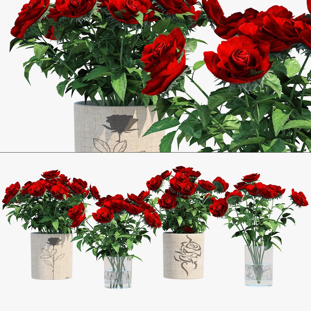 Red Rose Planter And Vase 3D - TurboSquid 2023215