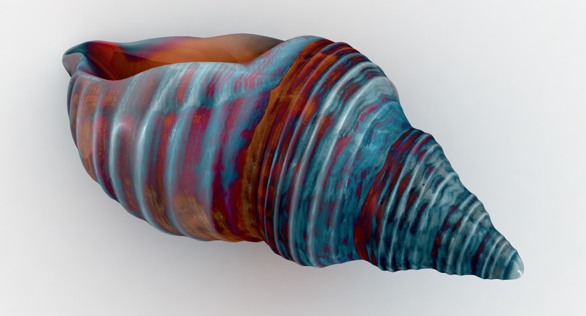 3D Model Sea Shell Blue - TurboSquid 1149257