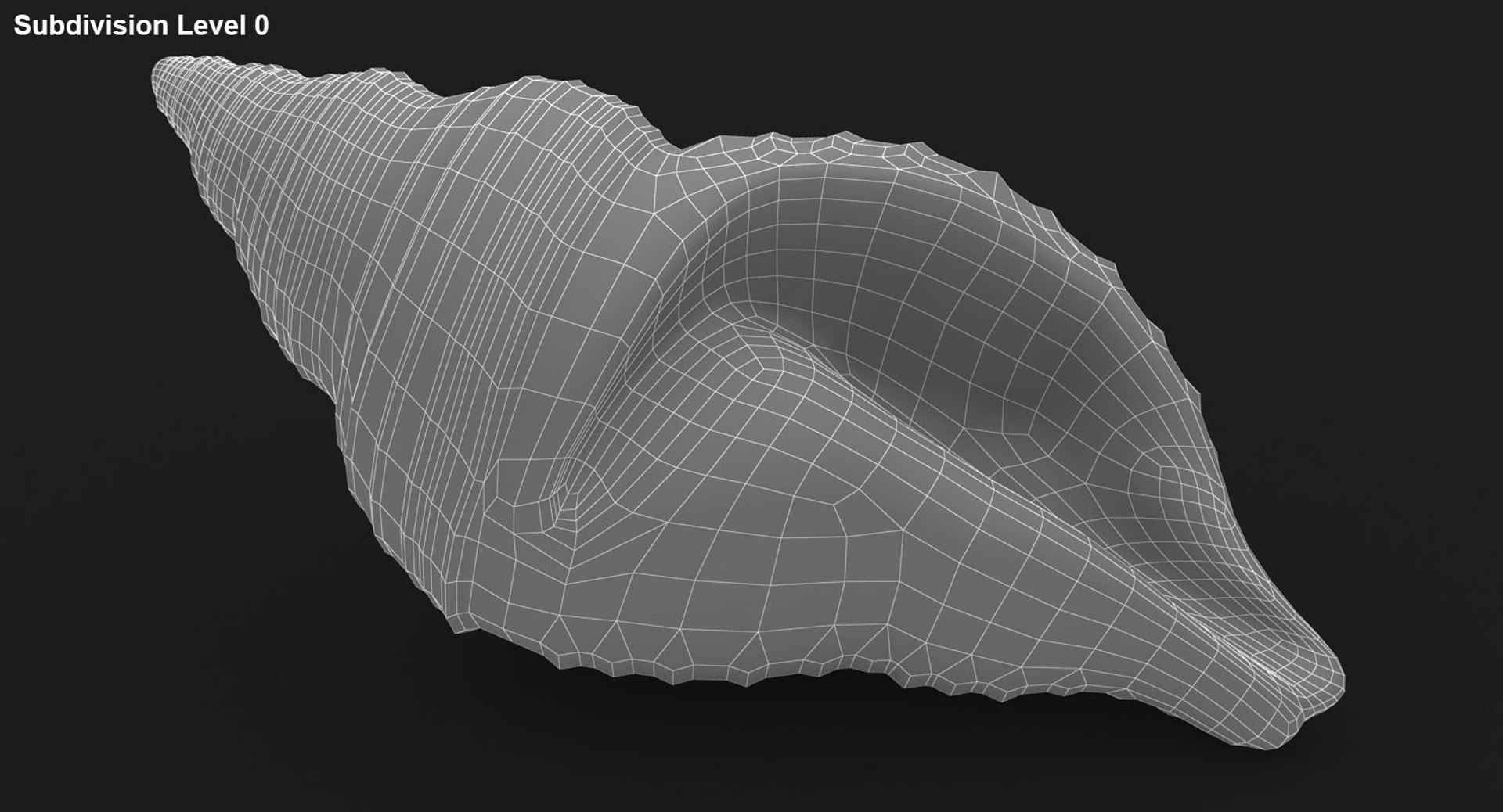 3D Model Sea Shell Blue - TurboSquid 1149257