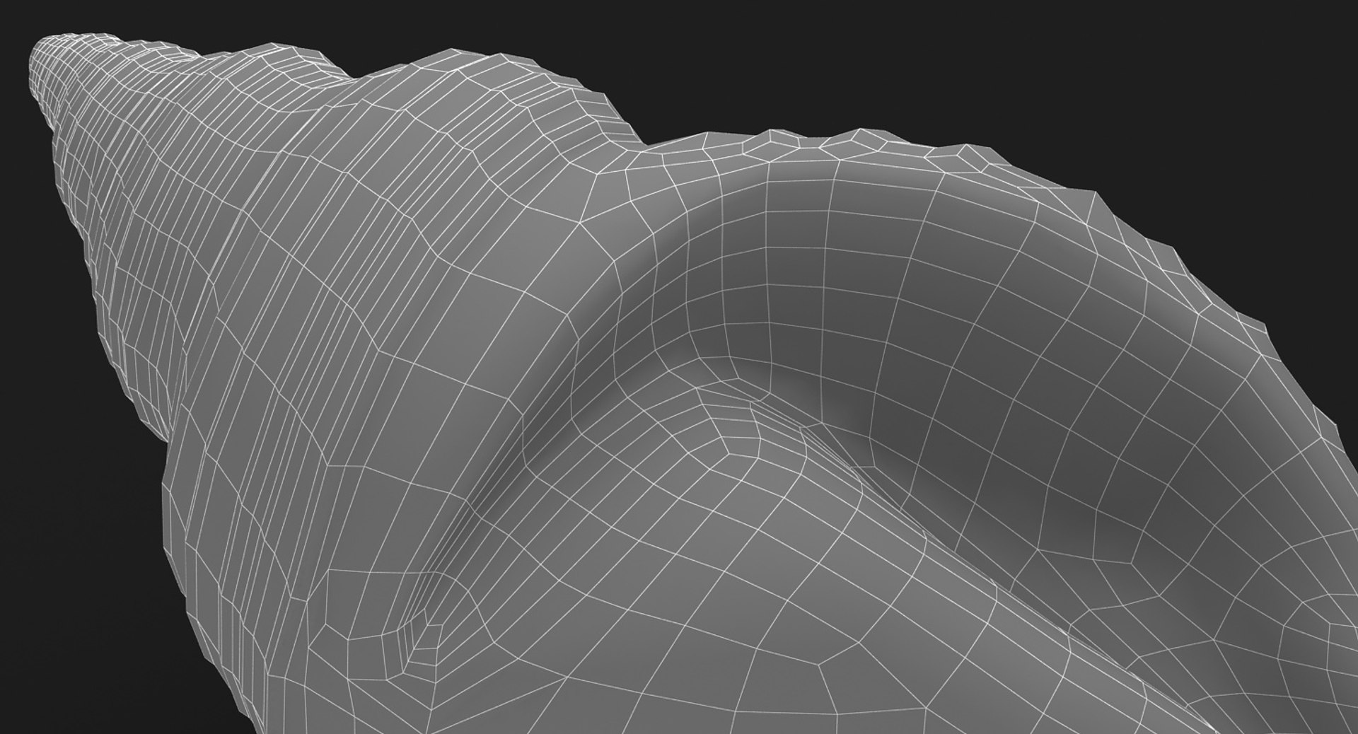 3D Model Sea Shell Blue - TurboSquid 1149257