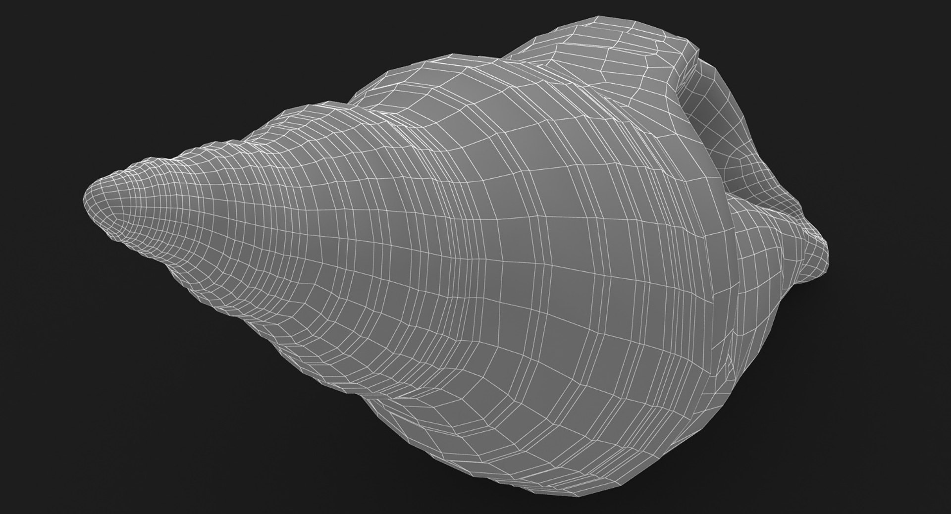 3D Model Sea Shell Blue - TurboSquid 1149257