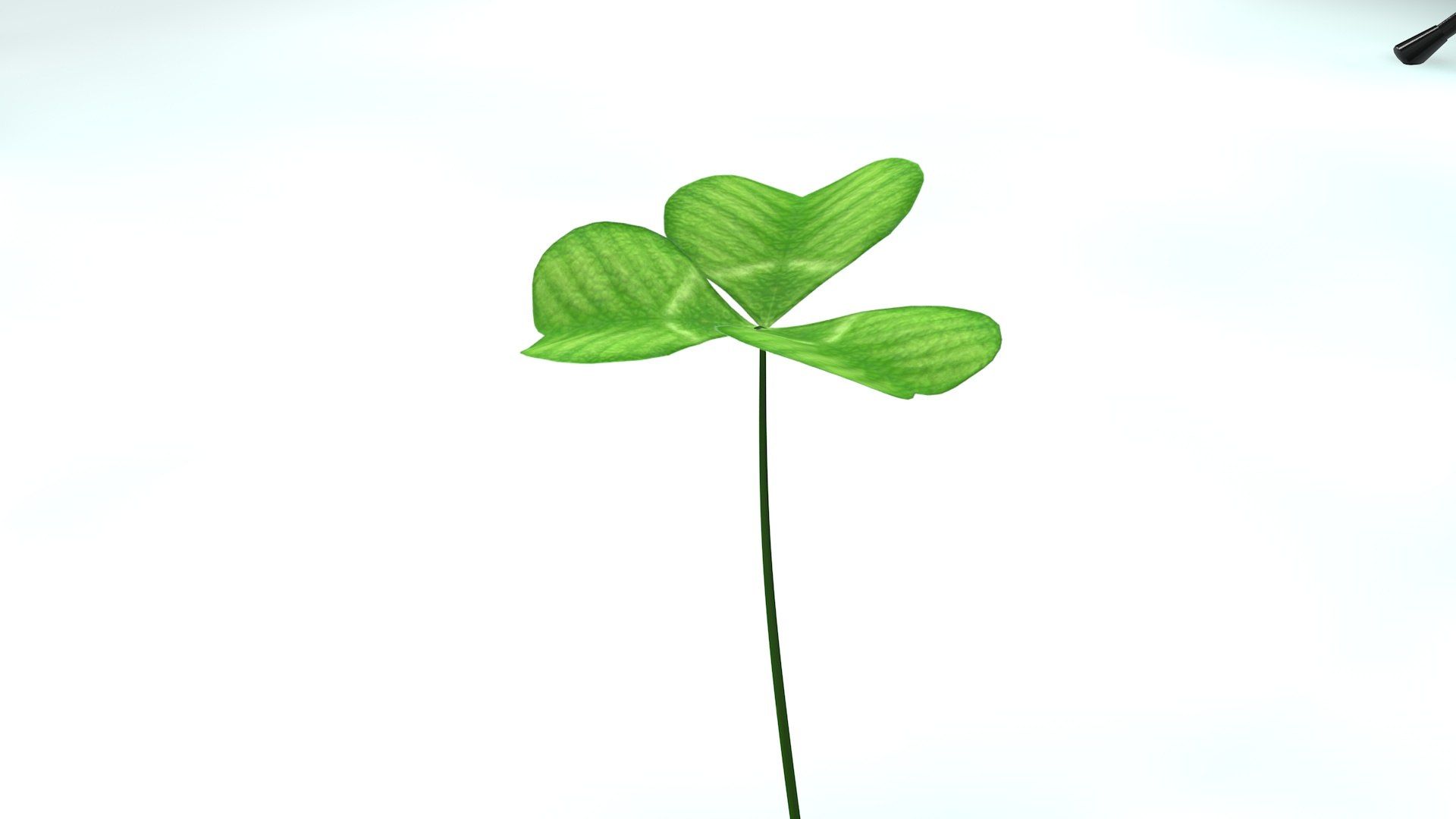 3D Model Clover - TurboSquid 1232995