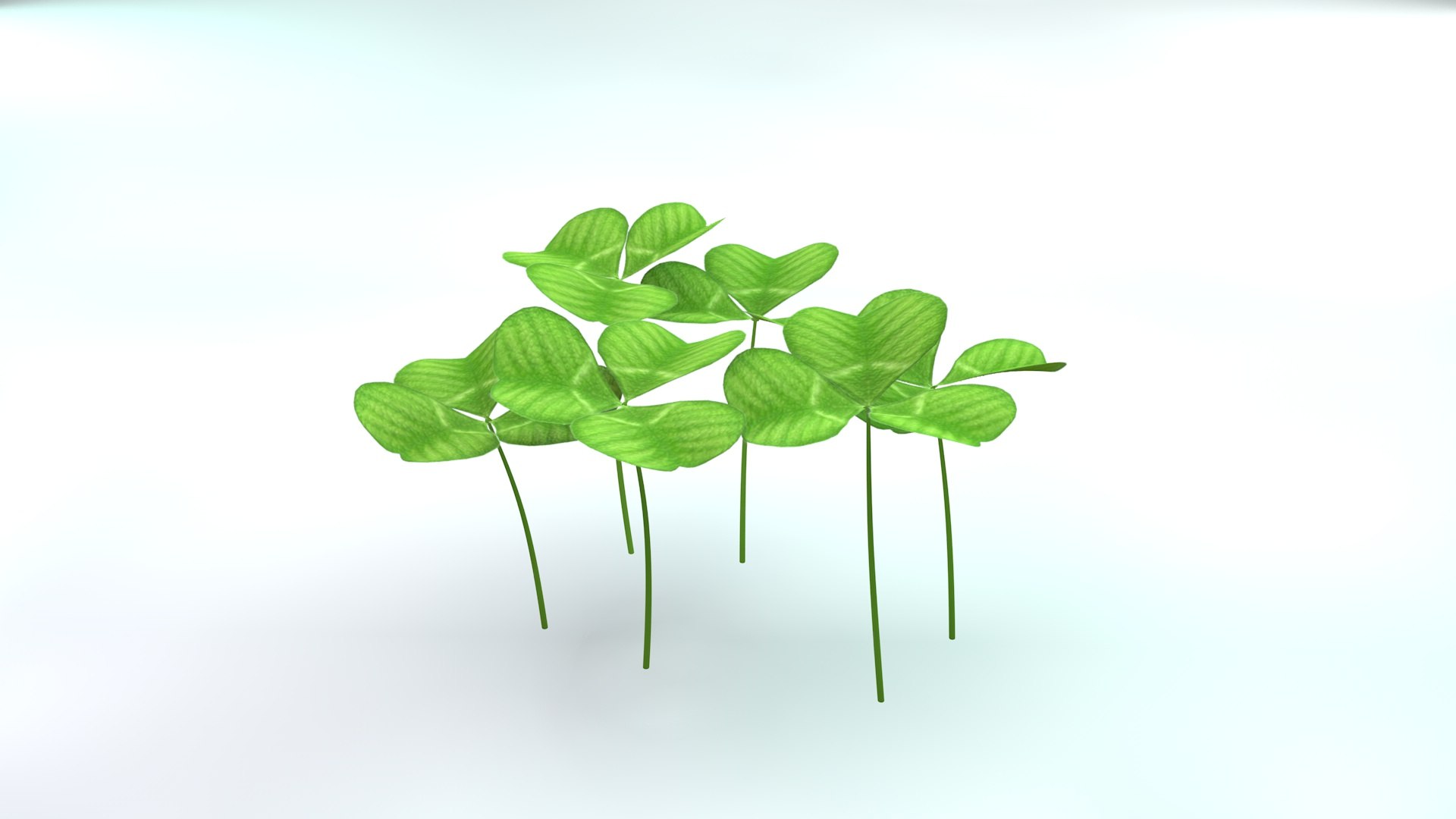 3D Model Clover - TurboSquid 1232995