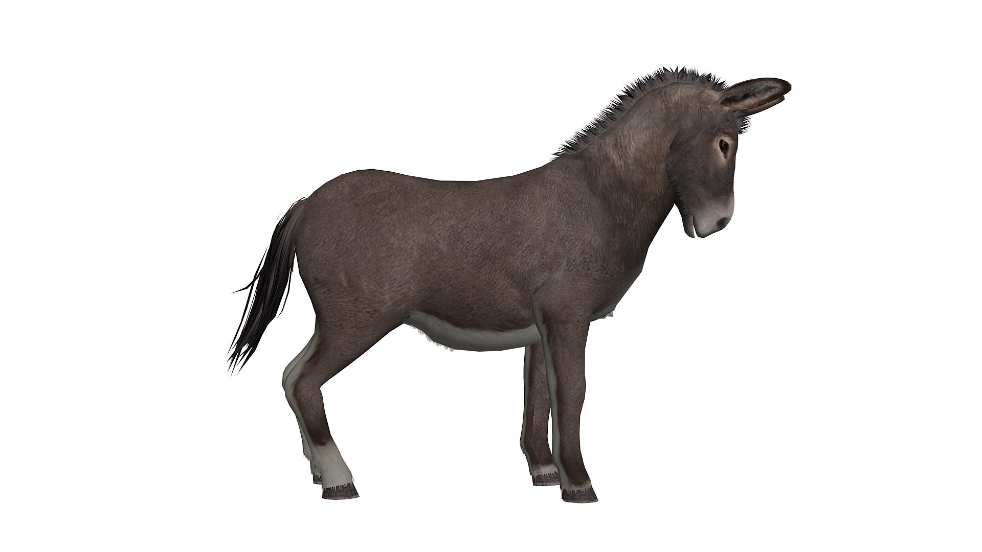 Animated Donkey 3D - TurboSquid 2153207