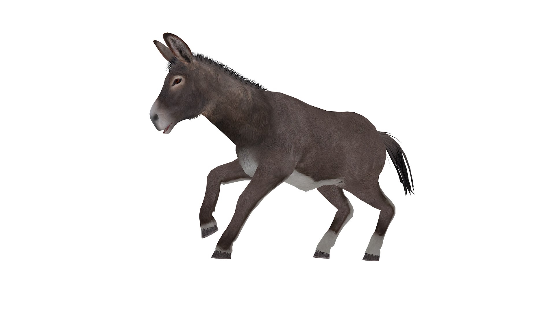 Animated Donkey 3D - TurboSquid 2153207