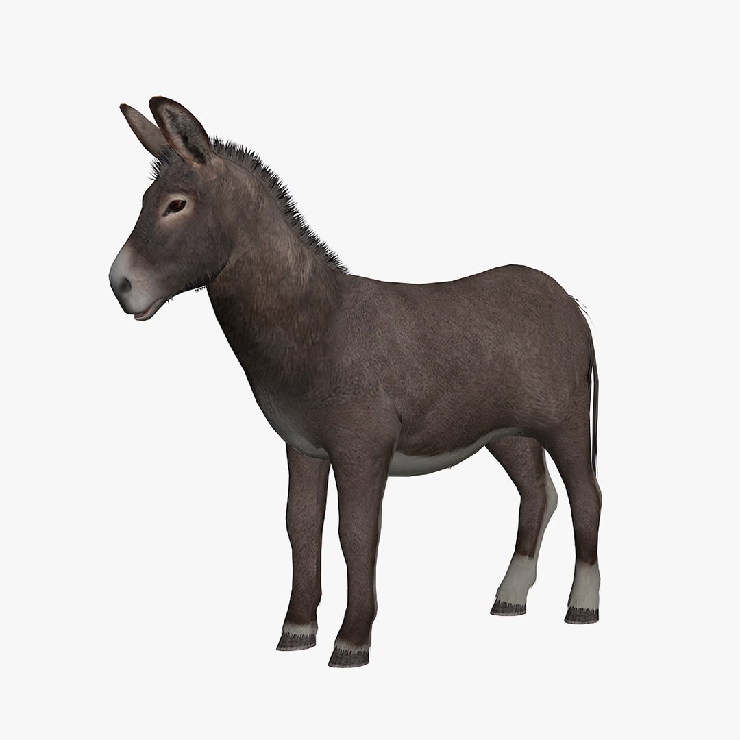 Animated donkey 3D - TurboSquid 2153207