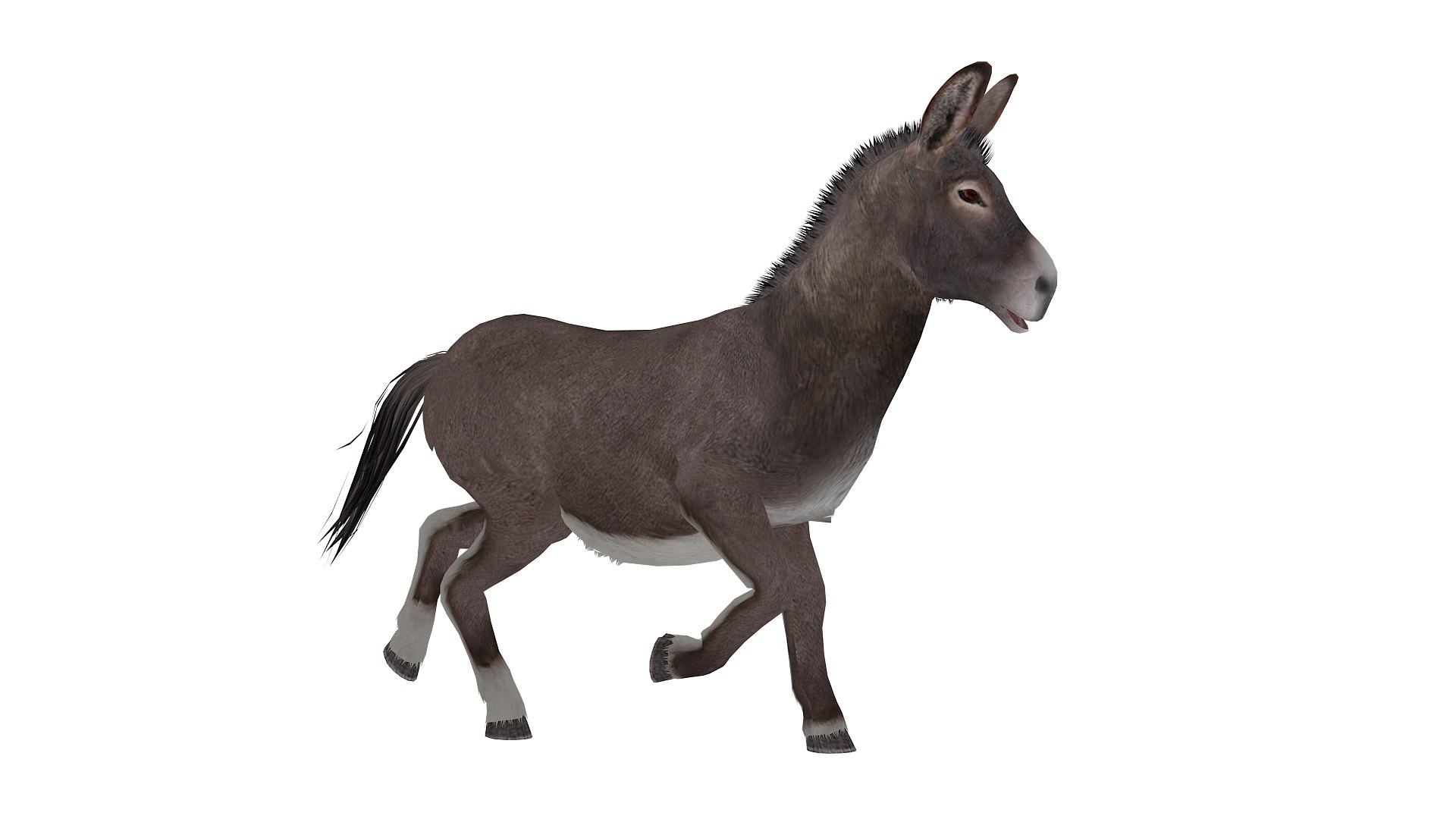 Animated Donkey 3D - TurboSquid 2153207
