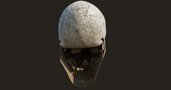 3D Crack Skull With PBR Unity Unreal Engine V-ray Arnold Textures ...