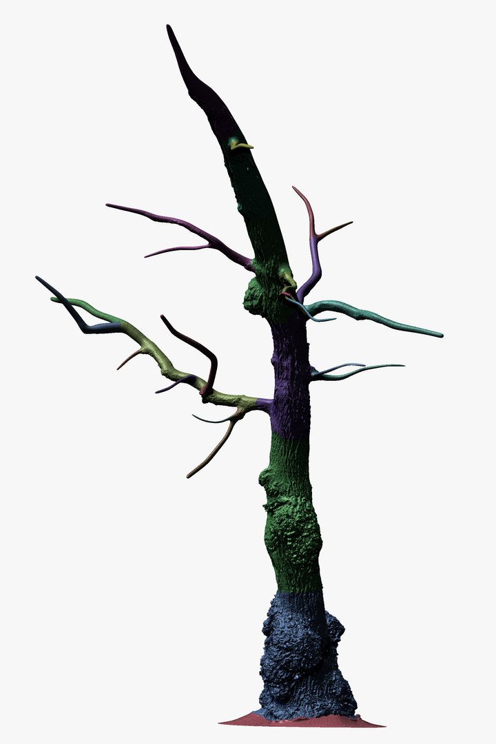 3D Ancient OAK Tree Trunk RAW 3D Scan - TurboSquid 1892418