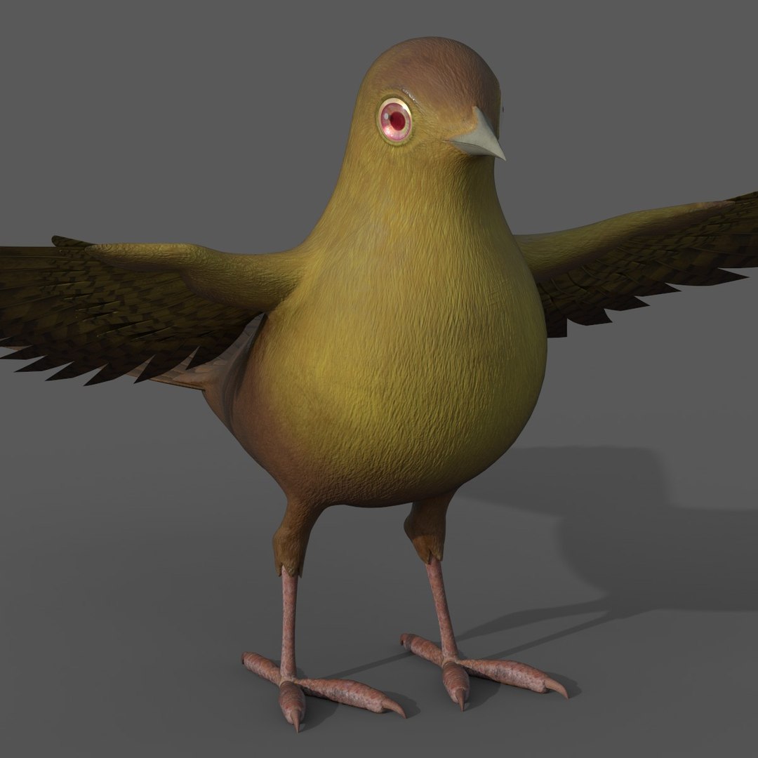 Bird 3D Model - TurboSquid 1883434