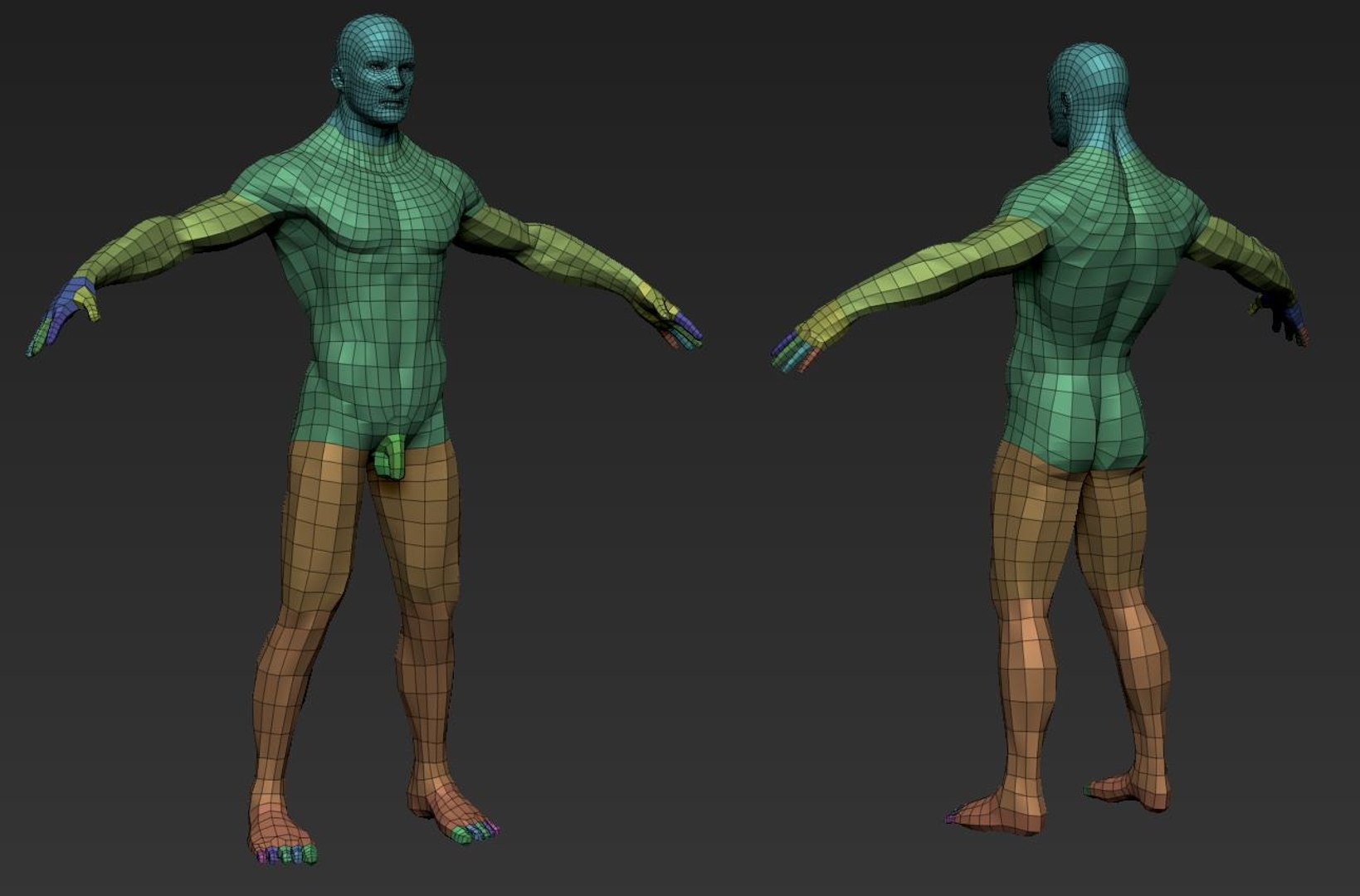 Realistic Male 3d Model