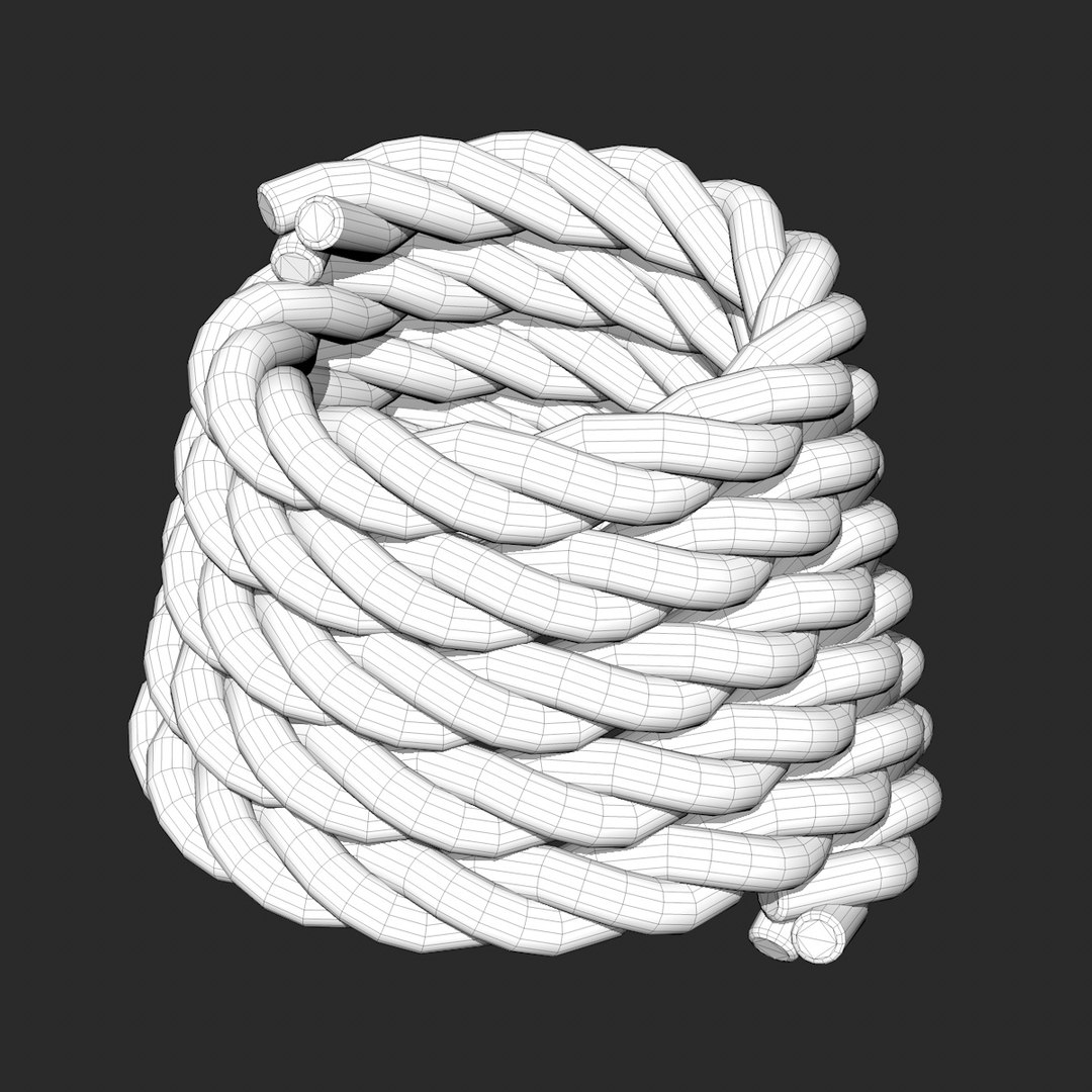 ropes - 4 3d model