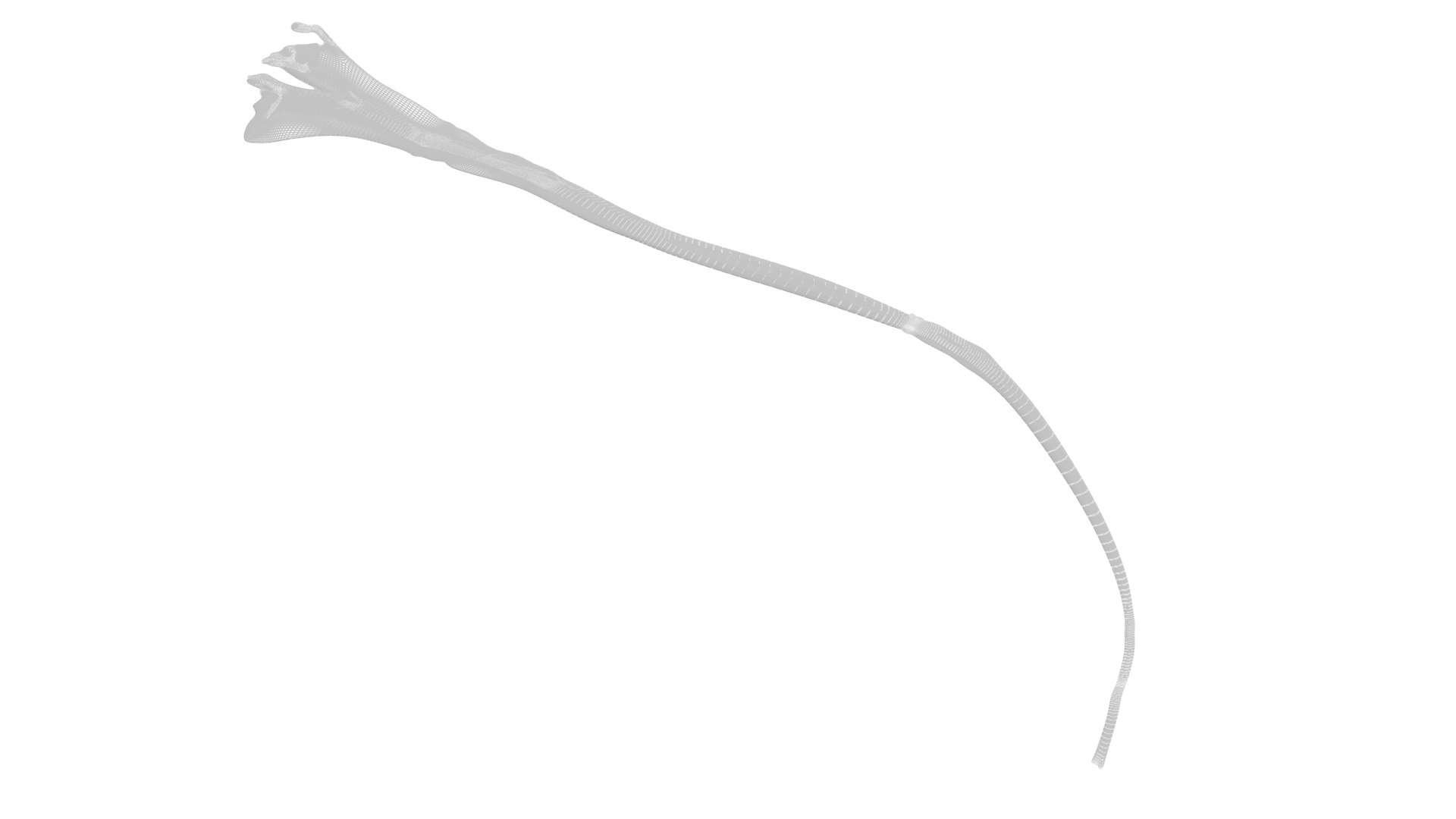 Saffron Model - TurboSquid 2243403