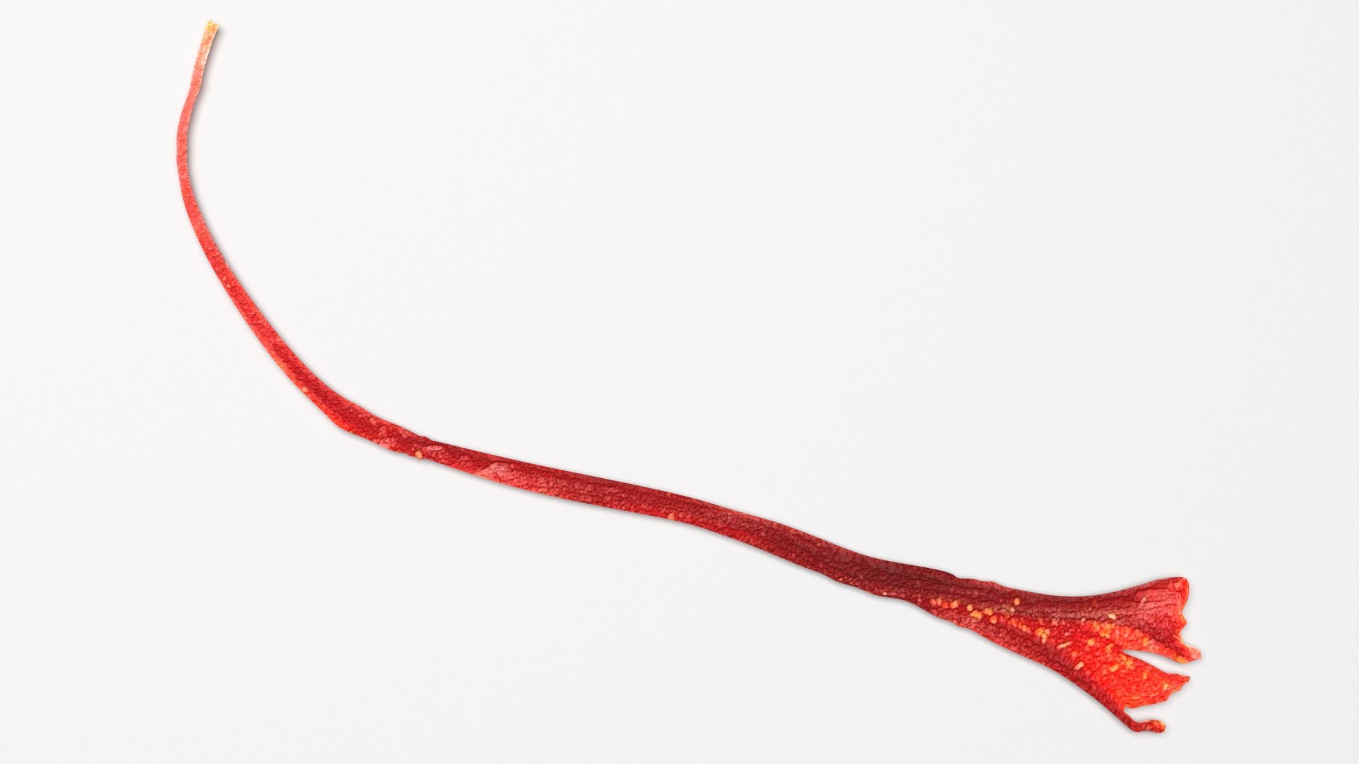 Saffron Model - TurboSquid 2243403