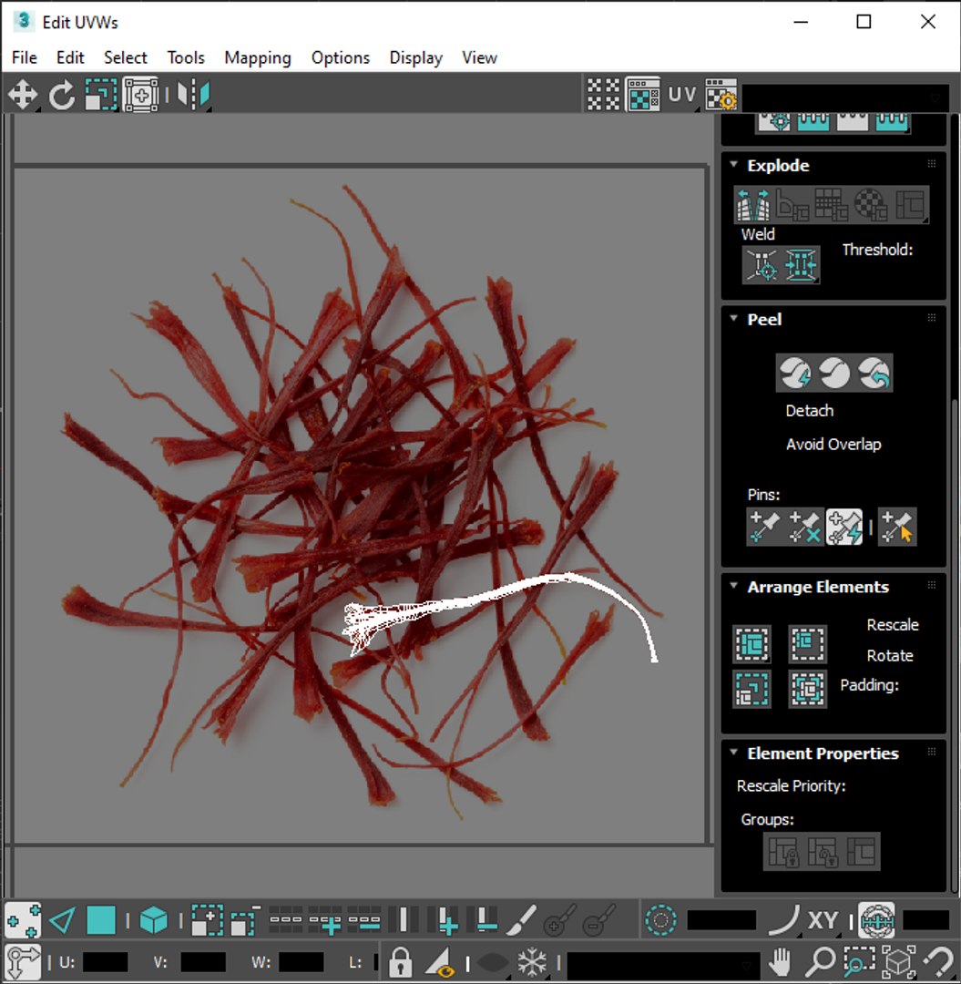 Saffron Model - TurboSquid 2243403