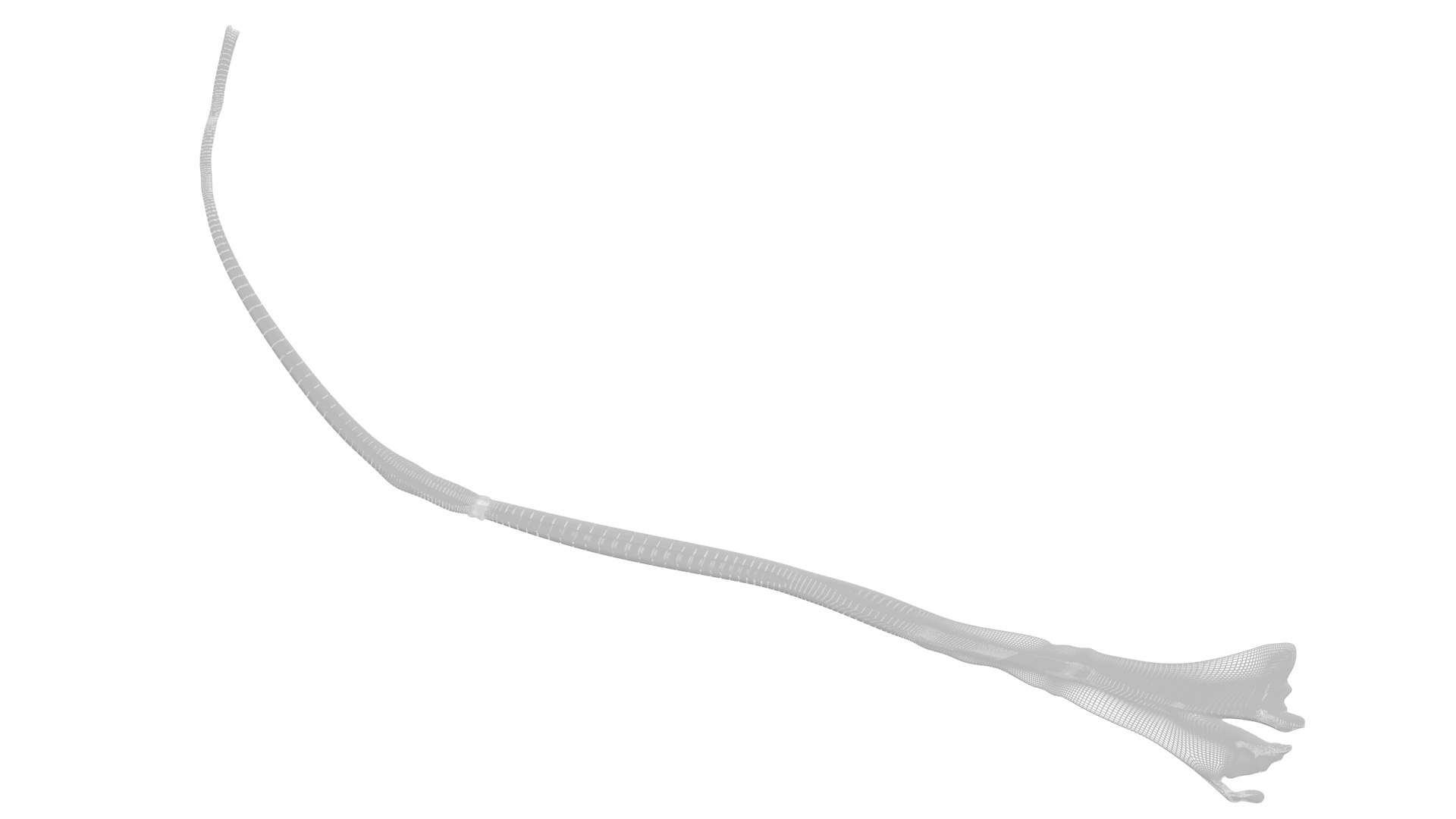 Saffron Model - TurboSquid 2243403
