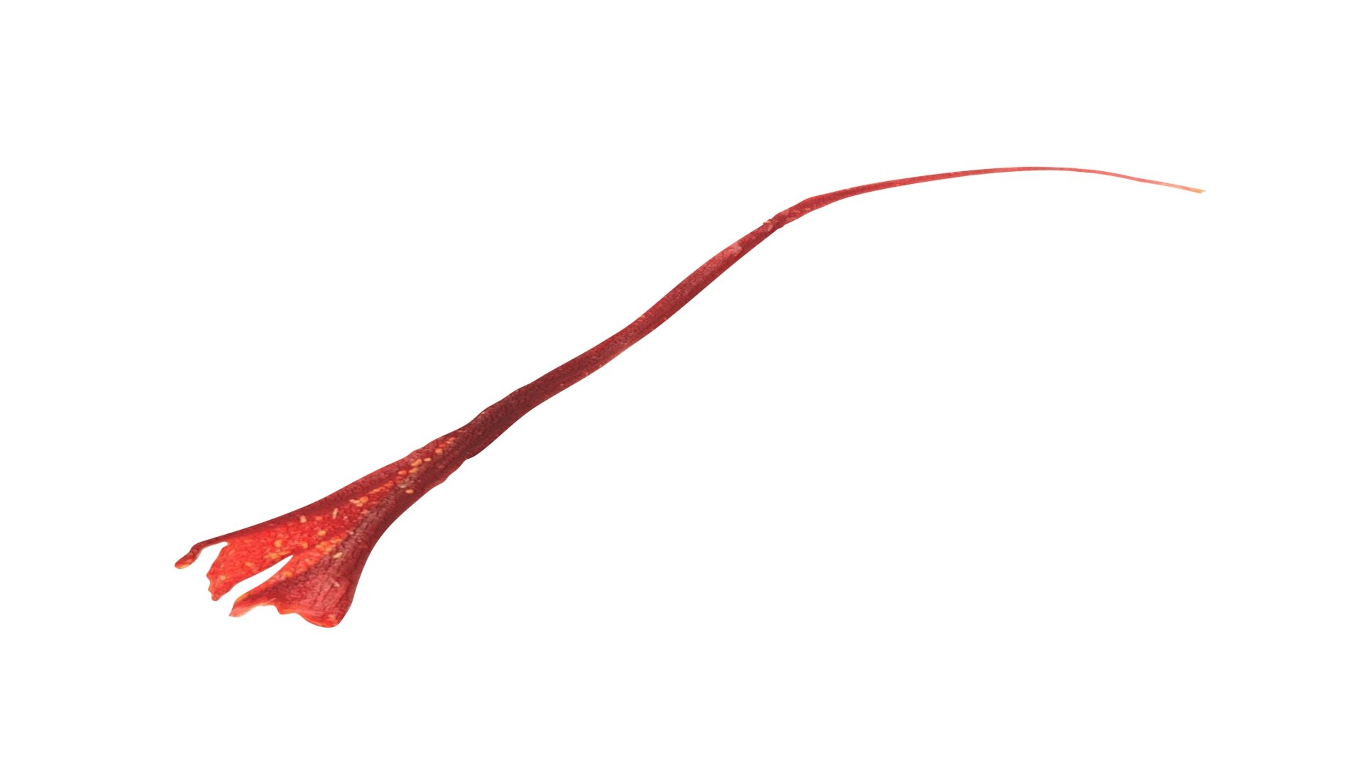 Saffron Model - TurboSquid 2243403