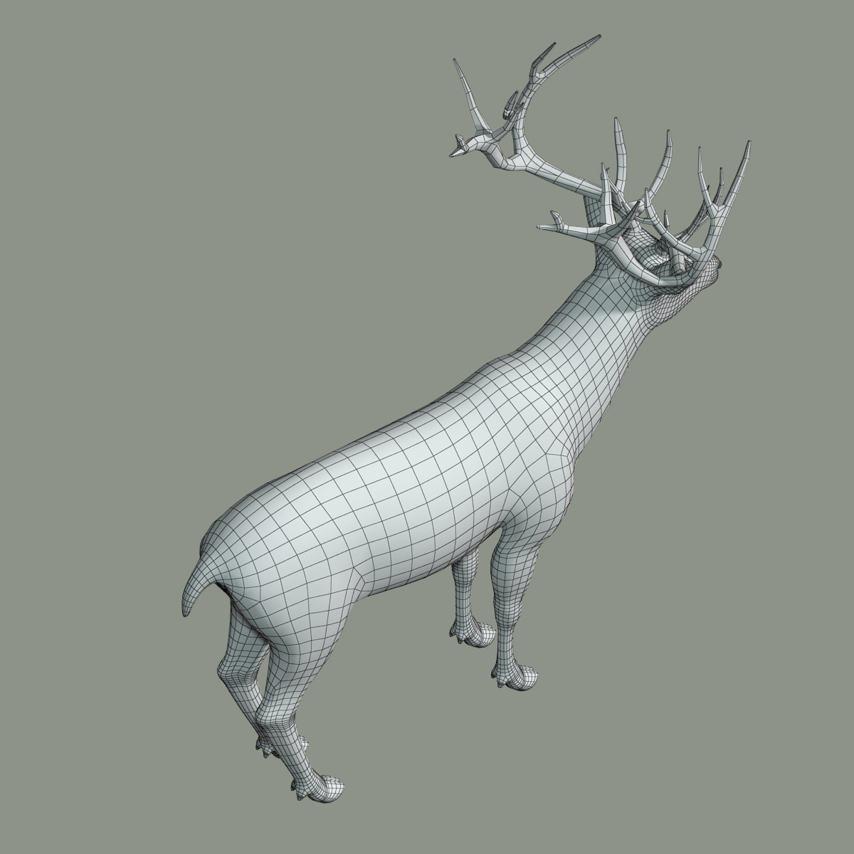 3d model red deer stag 2
