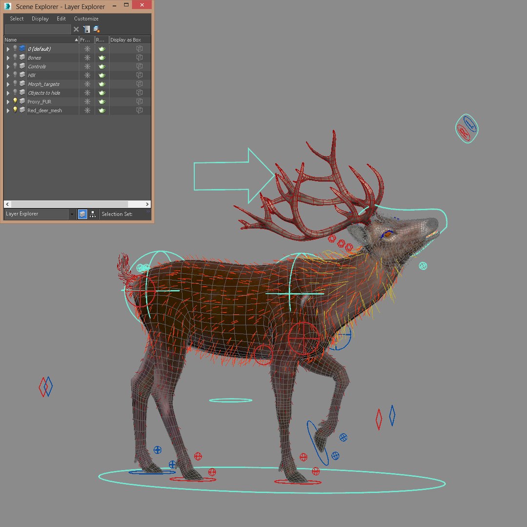 3d Model Red Deer Stag 2