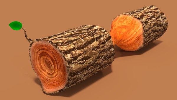 3D model Cartoon Gnawed Log - TurboSquid 1808615