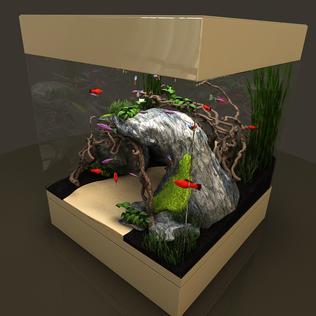 3d Model Aquarium Natural