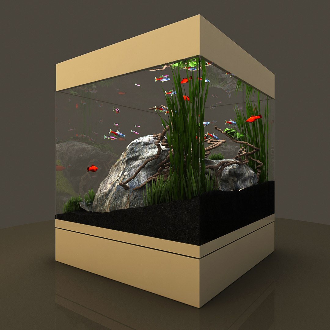 3d Model Aquarium Natural
