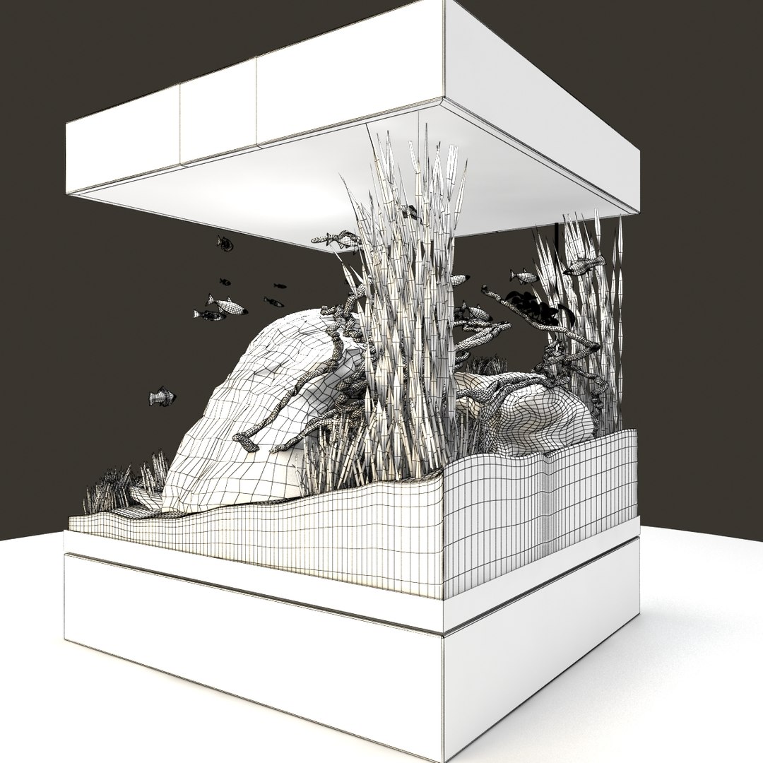 3d Model Aquarium Natural
