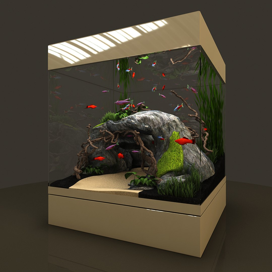 3d Model Aquarium Natural