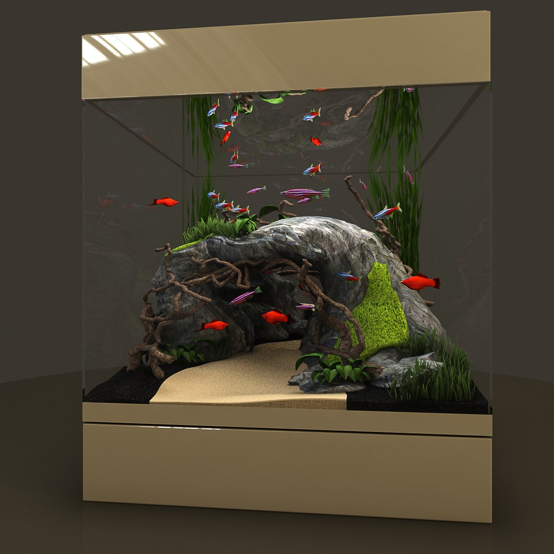 3d Model Aquarium Natural