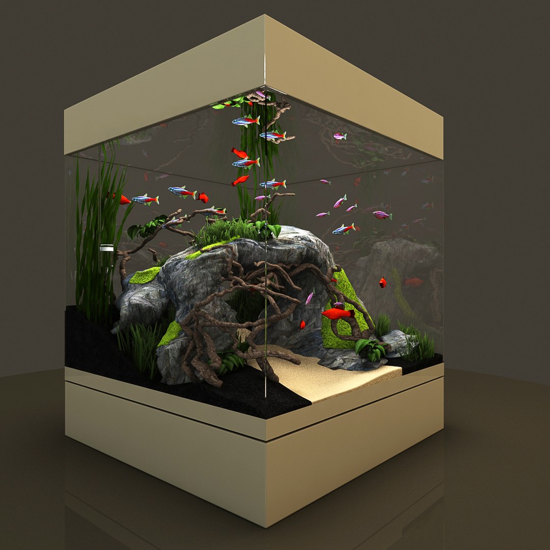 3d Model Aquarium Natural
