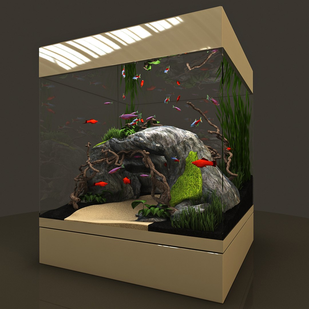 3d Model Aquarium Natural