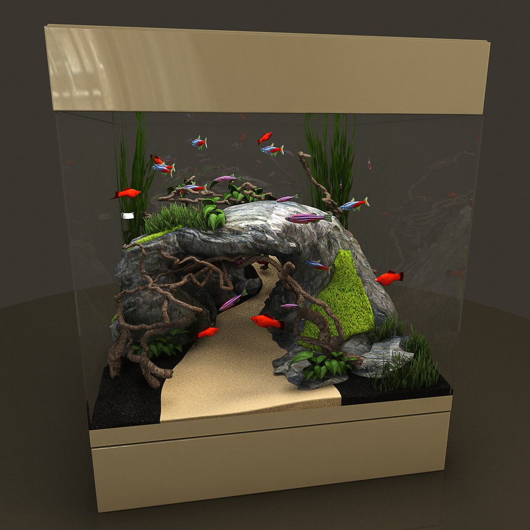 3d Model Aquarium Natural