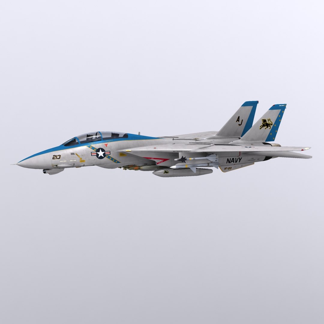 3d Model F-14 Fighter Jet F-14d