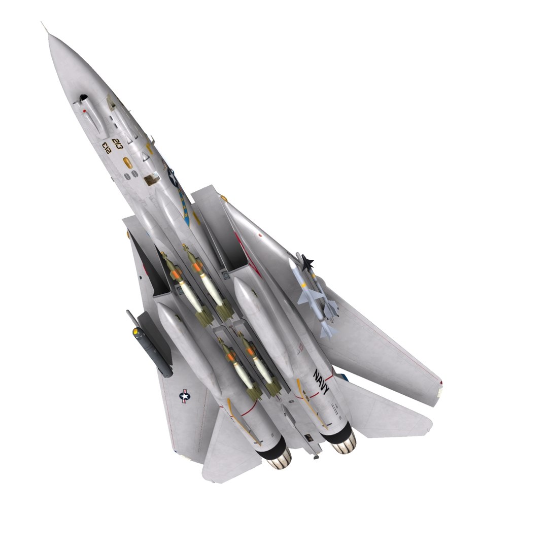 3d Model F-14 Fighter Jet F-14d