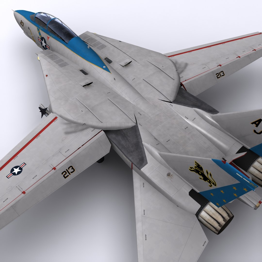 3d Model F-14 Fighter Jet F-14d