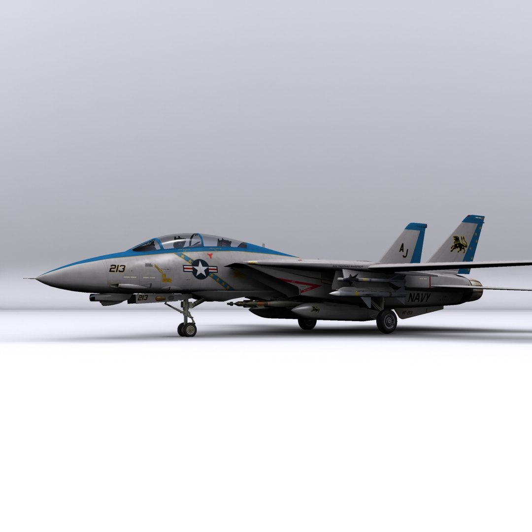 3d Model F-14 Fighter Jet F-14d