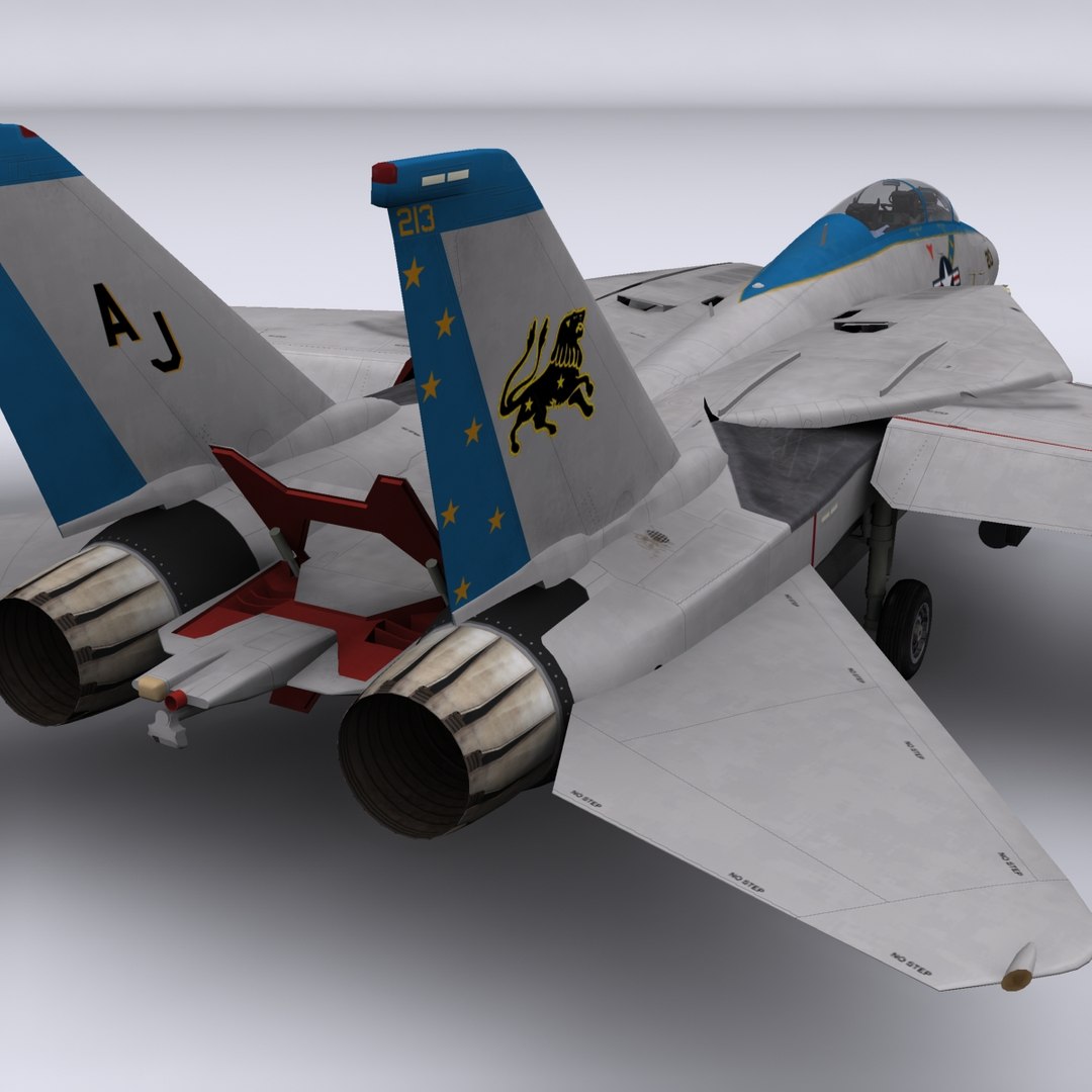 3d Model F-14 Fighter Jet F-14d