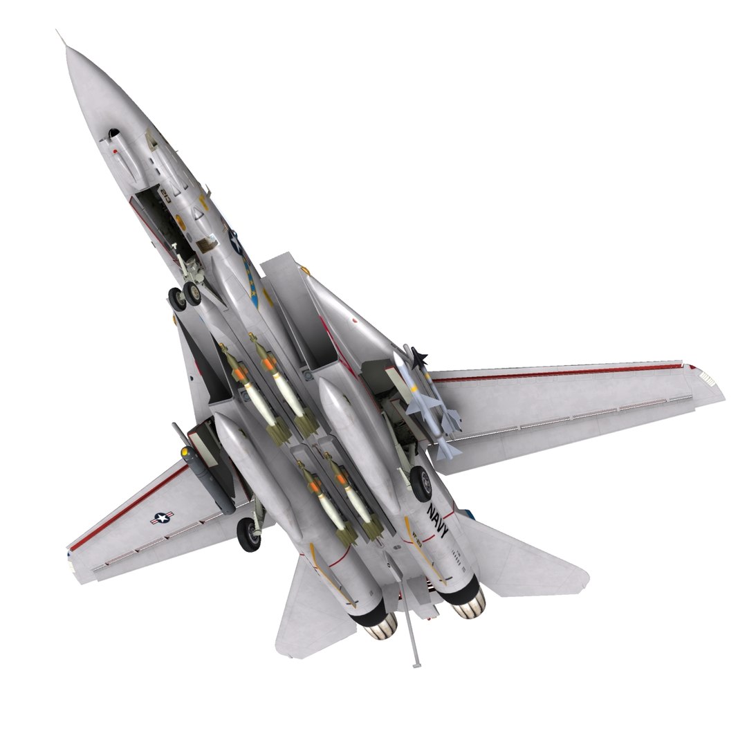 3d Model F-14 Fighter Jet F-14d