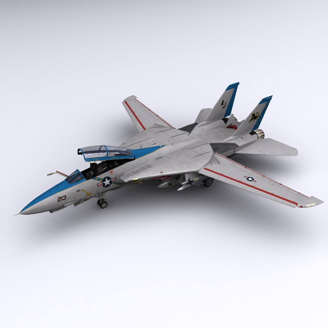 3d Model F-14 Fighter Jet F-14d