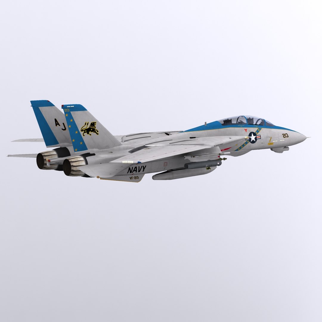 3d Model F-14 Fighter Jet F-14d