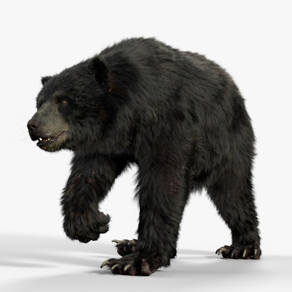 3D Houdini Models | TurboSquid