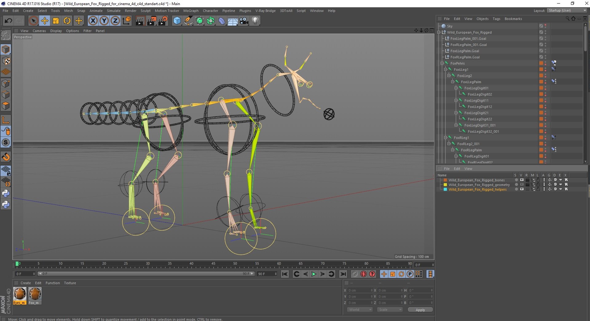 Wild European Fox Rigged For Cinema 4D 3D - TurboSquid 2220578