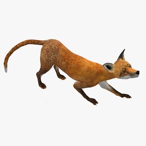 3D Fox Models - Browse & Download Formats - TurboSquid