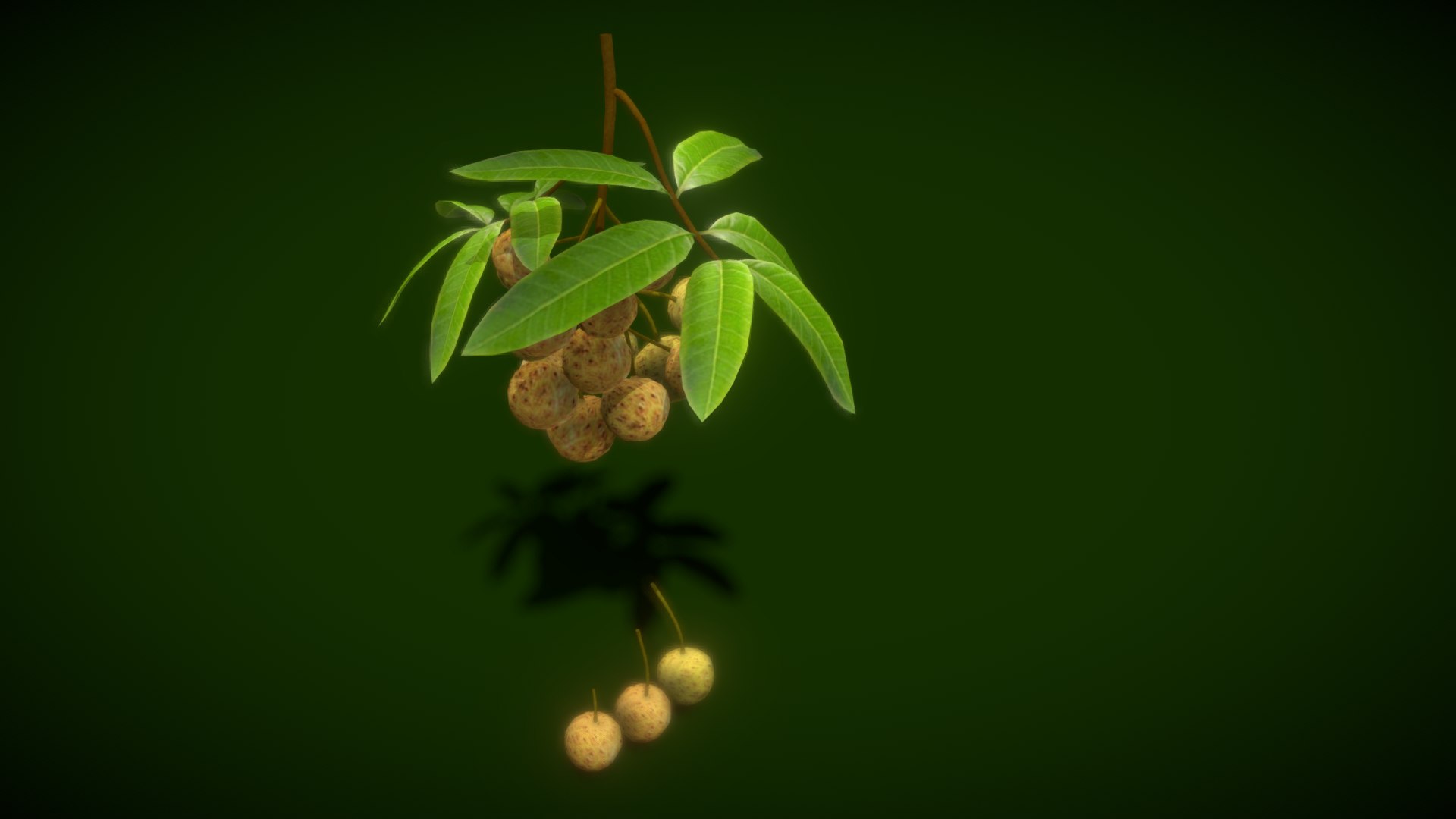 Collection Fruit Path 3 3D - TurboSquid 2134498
