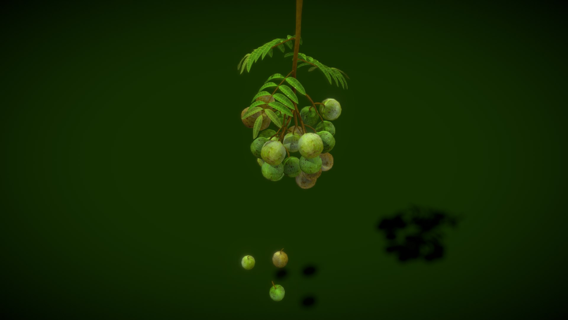 Collection Fruit Path 3 3D - TurboSquid 2134498