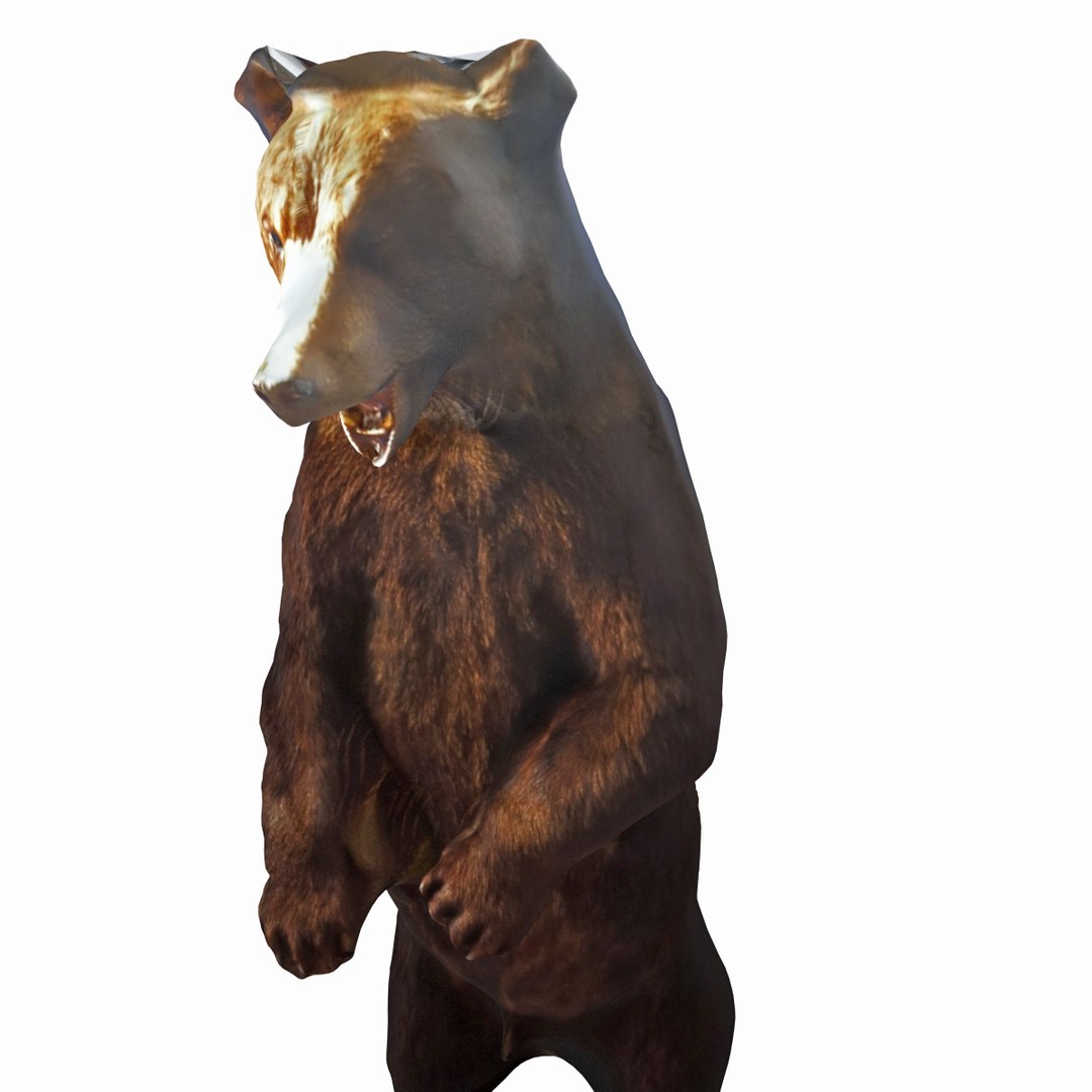 bear decoration c4d
