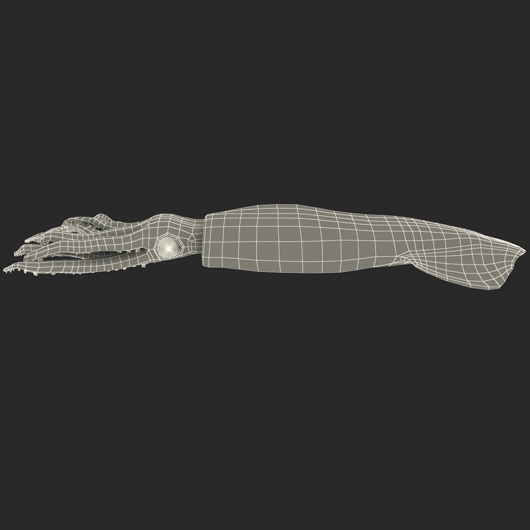 fresh squid 3d model
