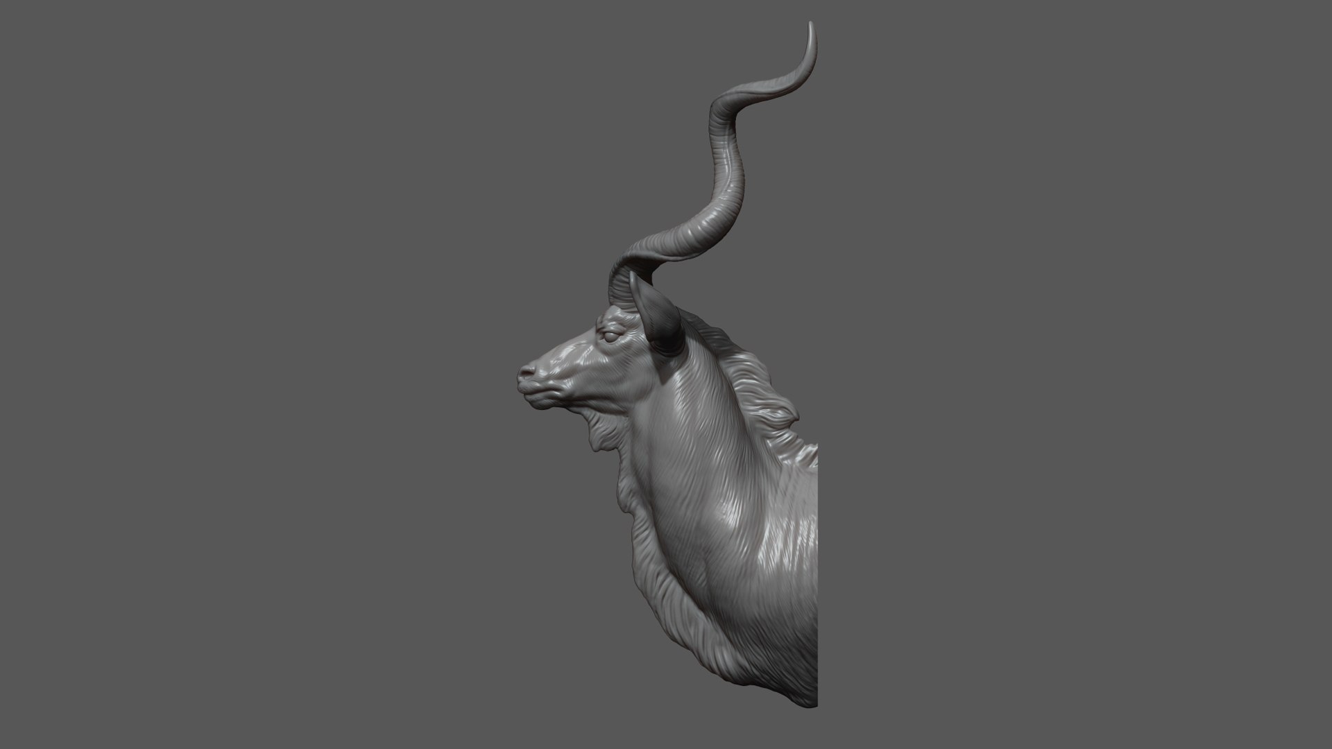 3D Greater Kudu Antelope Bust Model - TurboSquid 2326758