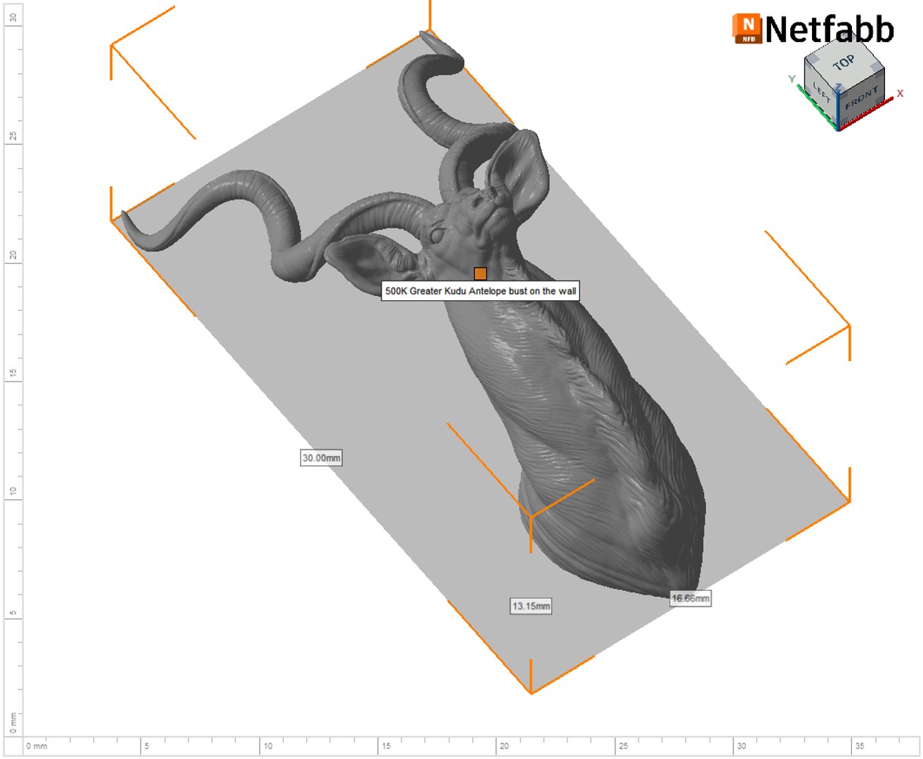 3D Greater Kudu Antelope Bust Model - TurboSquid 2326758